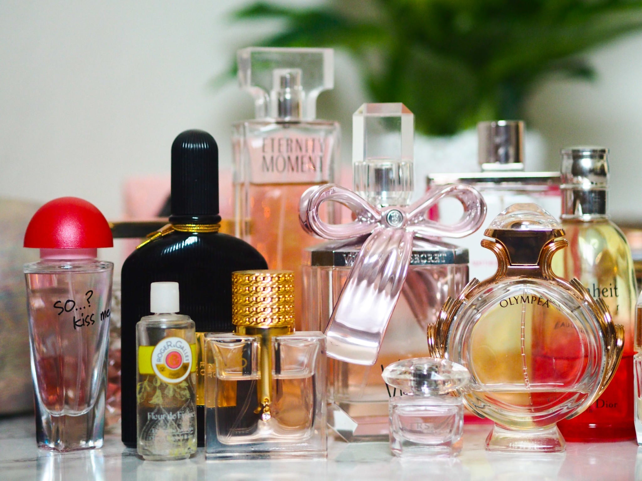 Shop Authentic Perfumes Online in Pakistan - Best Deals Available ...